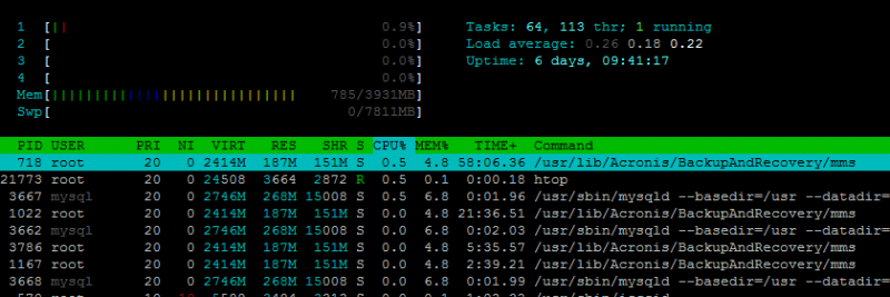 script: Terminal Sessions aufnehmen - Loteks